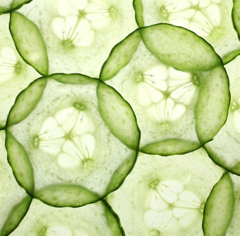 Testing Automation: Cucumber - Watir-Webdriver - Modus Create