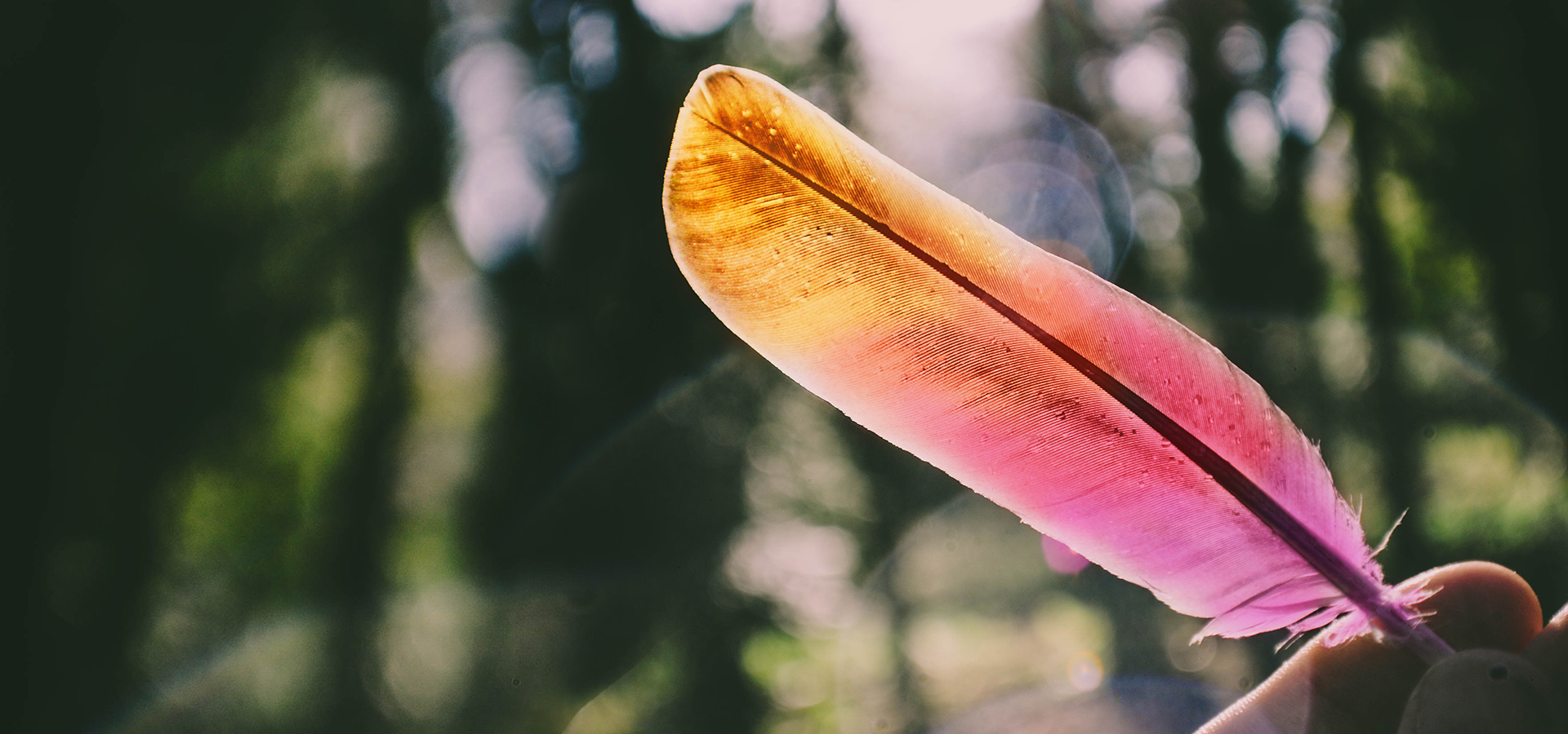 Jmeter for Performance Testing - Modus Create